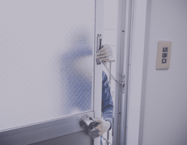 Système anti-intrusion - AVS